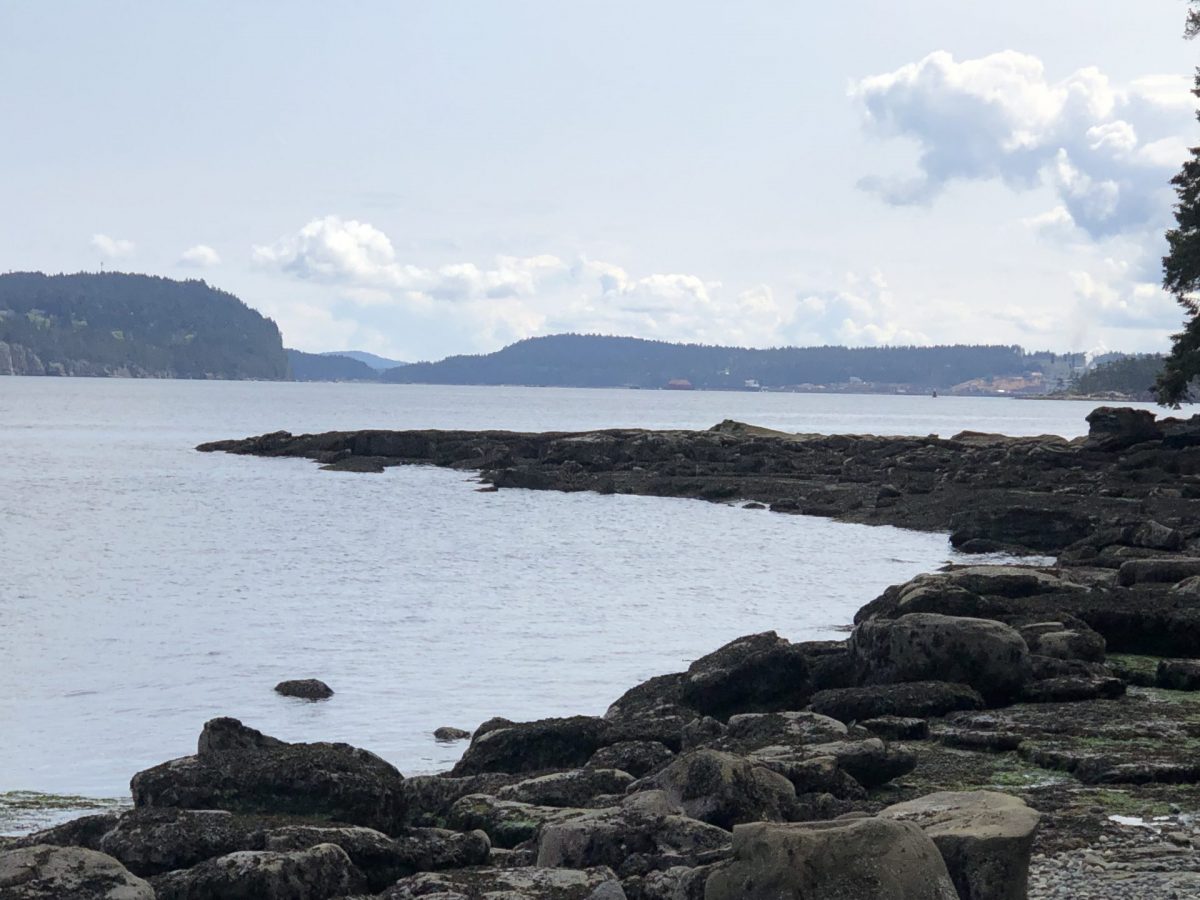 Protection Island, BC April 28, 2022 – Bailey